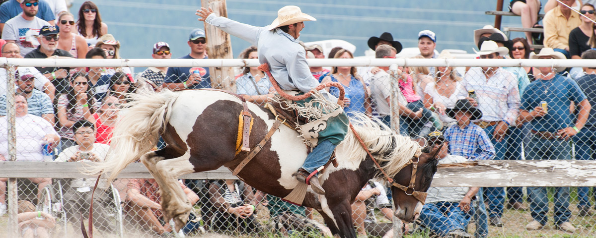 Saddle Bronc Riding – Arlee Montana